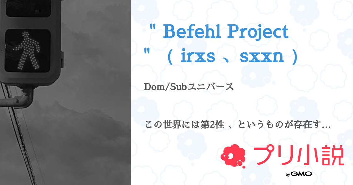 " Befehl Project " （ irxs 、sxxn ） - 全2話 【連載中】（ 双 葉 ‪‪🔅 さんの小説） | 無料スマホ夢小説ならプリ小説 byGMO